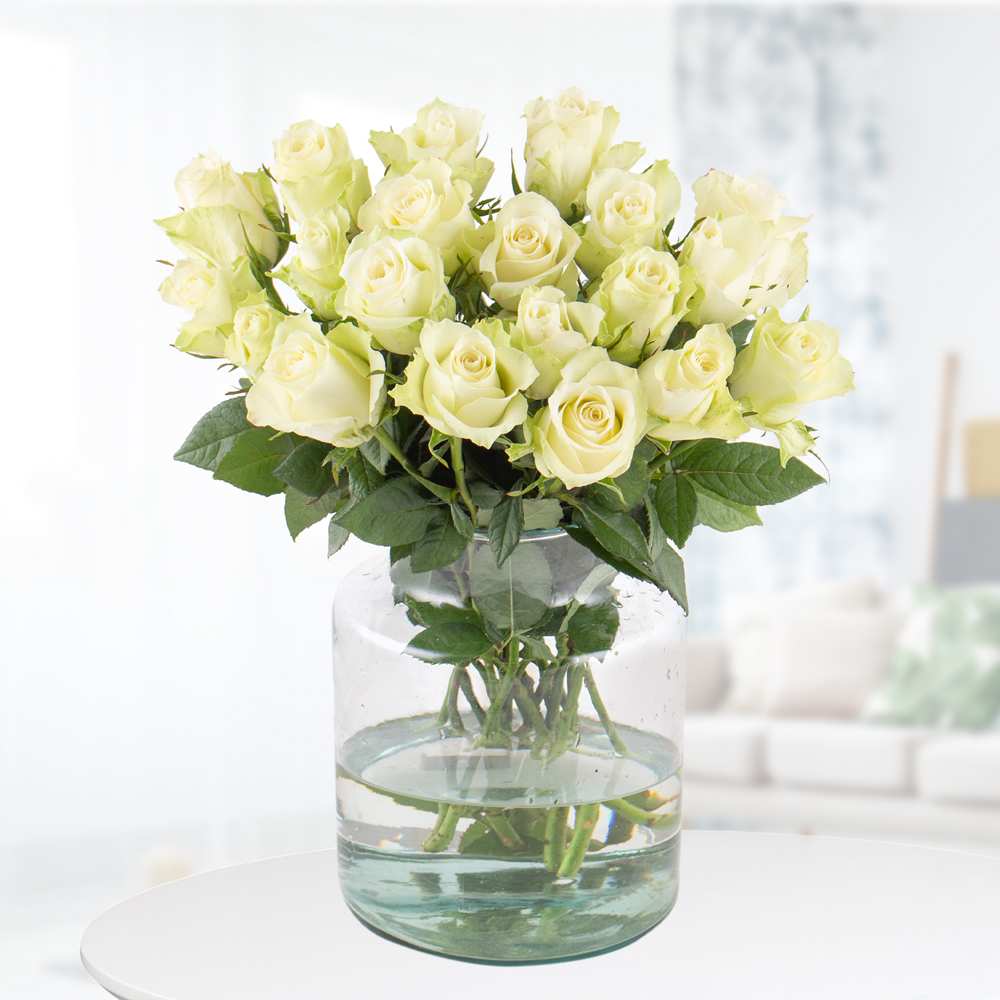 20 White Roses (40cm) buy with fast delivery in the store Get Flower