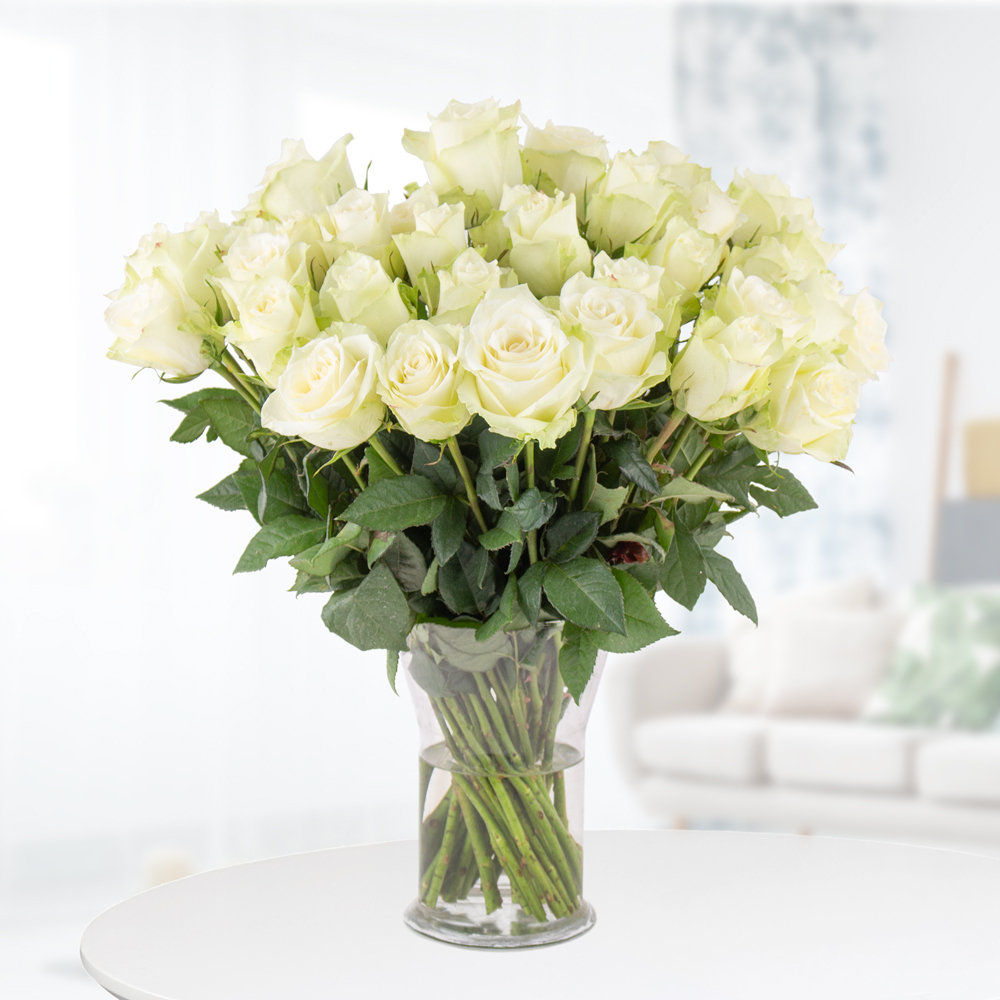 40 White Roses (40cm) buy with fast delivery in the store Get Flower